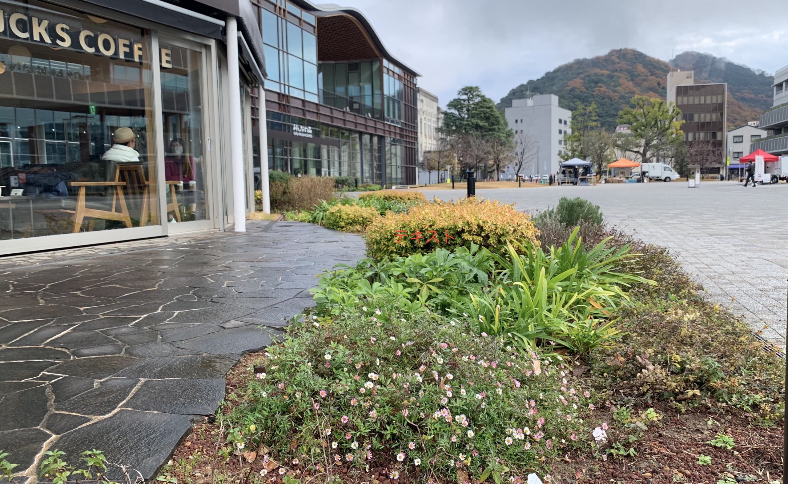 師走のメディコスハーブガーデン ｜ブログ｜岐阜市シビックプライドプレイス